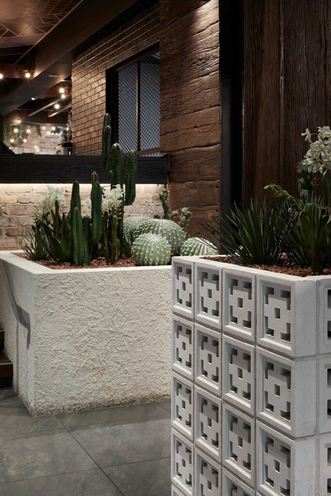 Wests Mayfield | EJE 2023